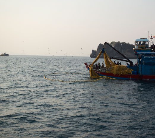 Marine Conservation Projects | The Ocean Project